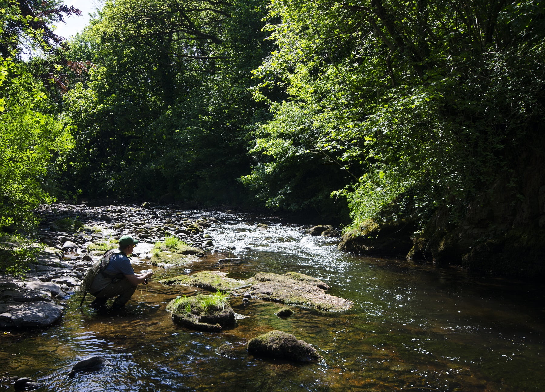 Fishing In Wales | The new website for Welsh angling!!