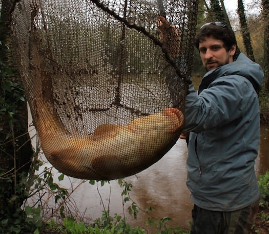 A Beginner’s Guide To Commercial Fisheries - Fishing in Wales