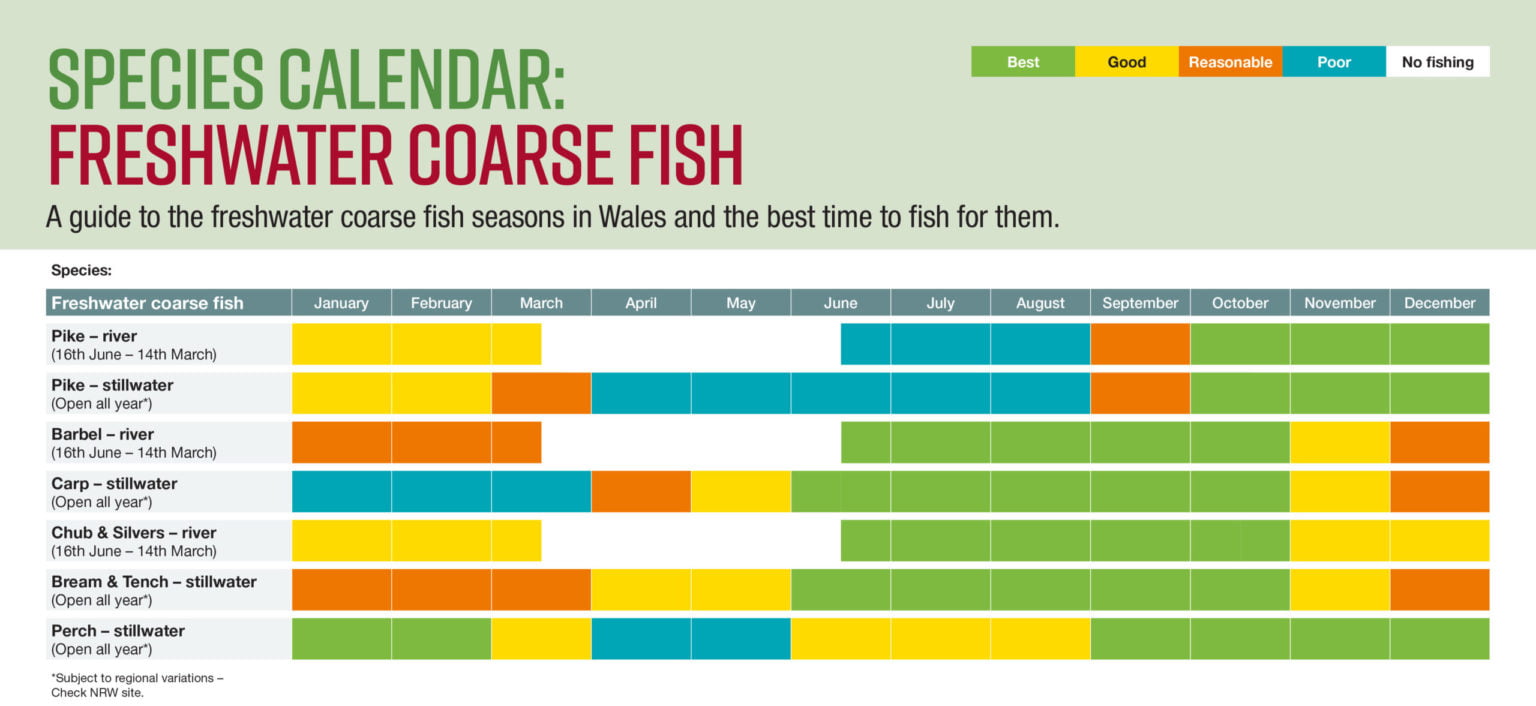 Fishing Seasons in Wales - Fishing in Wales