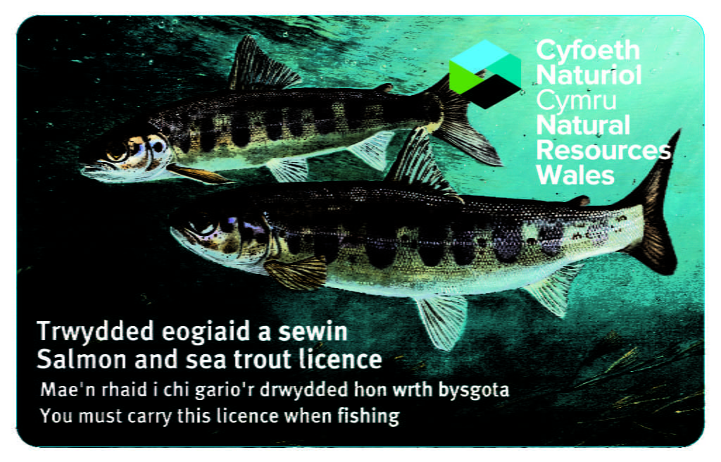 Buying a rod licence - Fishing in Wales