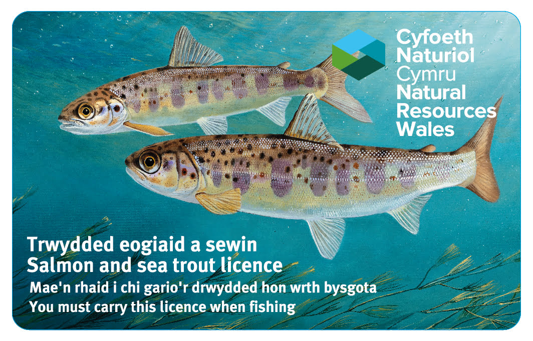 Buying a rod licence - Fishing in Wales