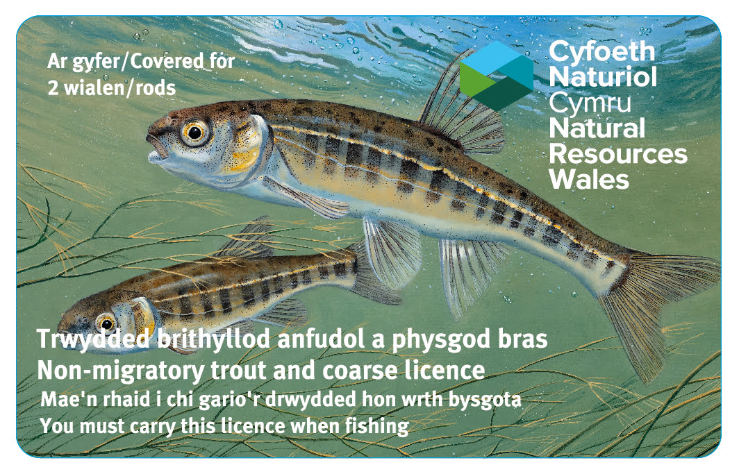 Buying a rod licence - Fishing in Wales