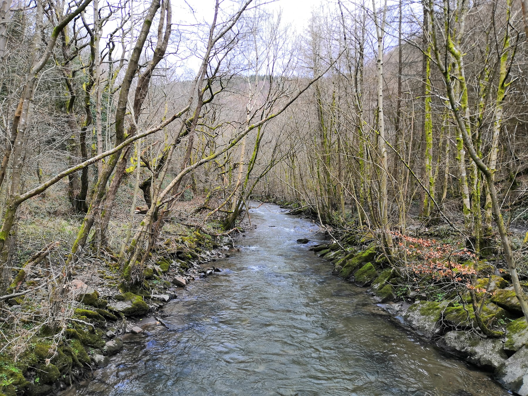 Islwyn and District Anglers: River Rhymney - Fishing in Wales