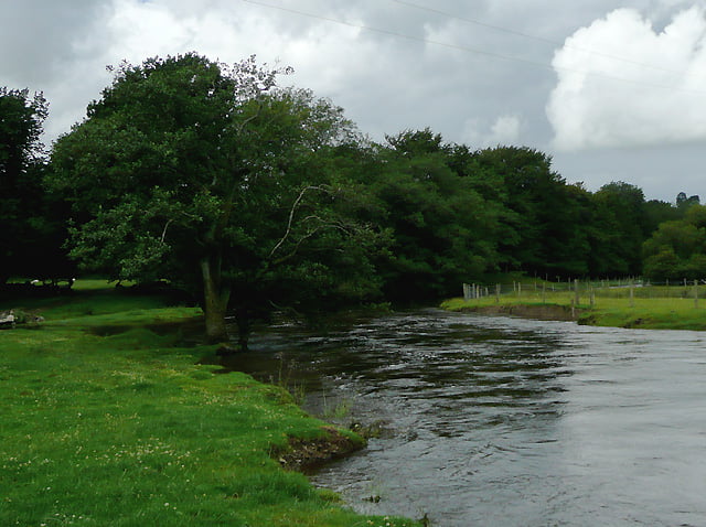 Tregaron Angling Association: River Teifi - Fishing in Wales
