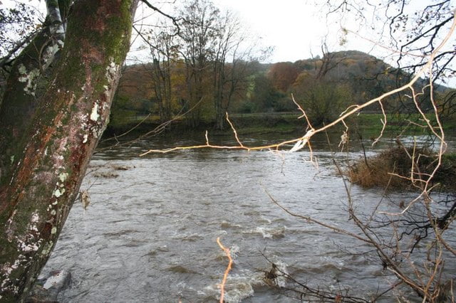 The Fishing Passport: River Wye (Abernant) - Fishing in Wales
