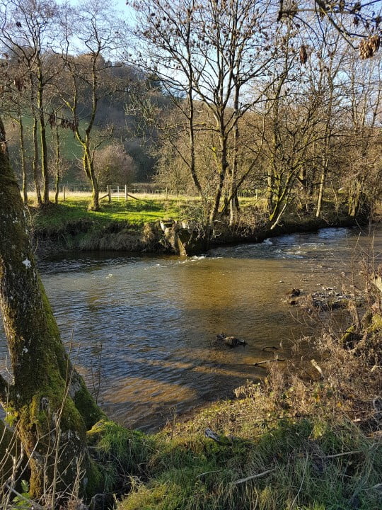 The Fishing Passport: River Ithon (Llanddewi) - Fishing in Wales