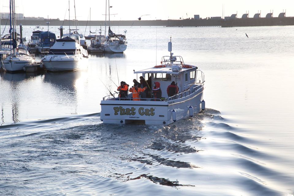 Phat Cat Charters - Fishing in Wales