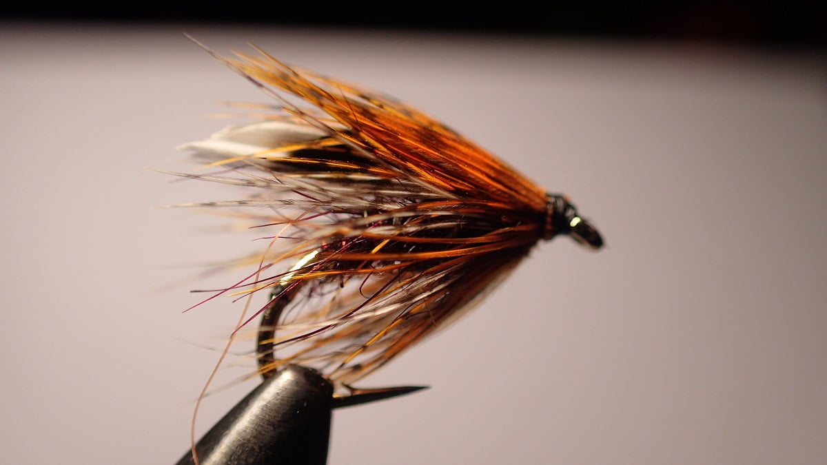 Flies & Tactics for Welsh Wild Trout Waters - Fishing in Wales