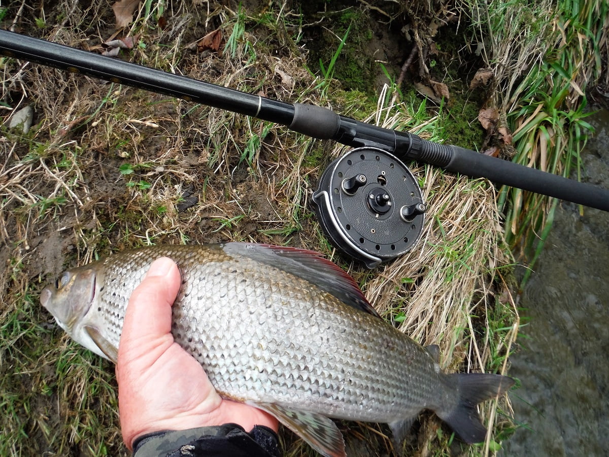 Trotting for Grayling - How To Guide - Fishing in Wales