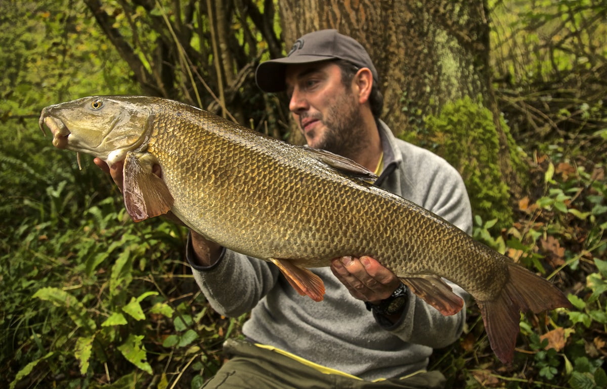 Barbel Fishing In Wales Fishing In Wales