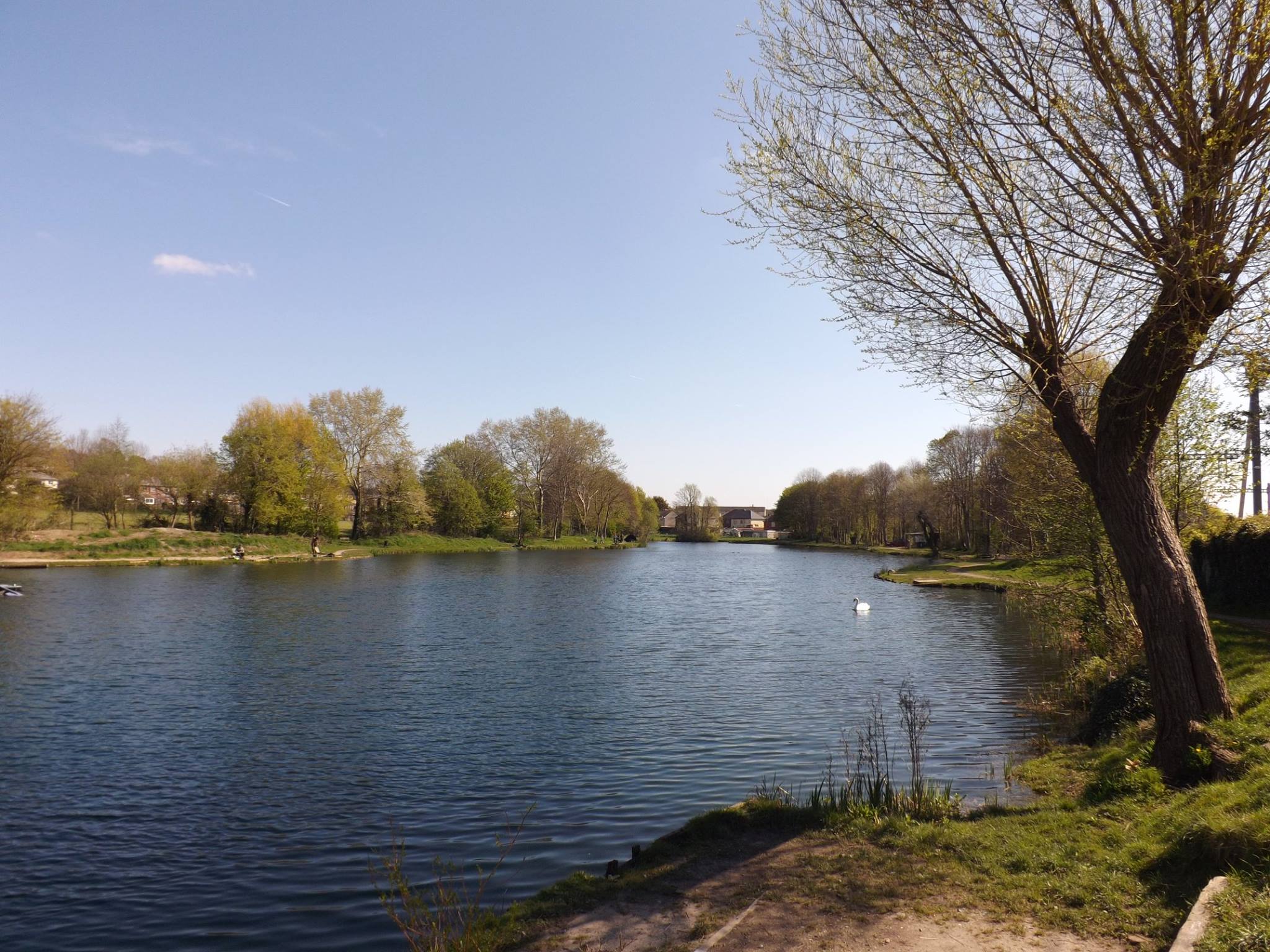 Lliswerry Pond - Fishing in Wales