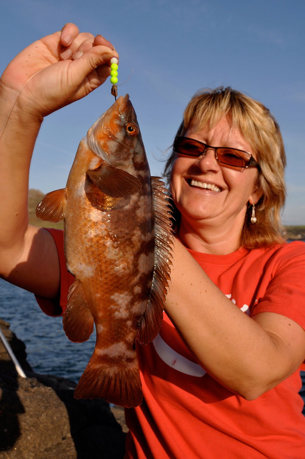 Wrasse fishing In Wales - Fishing in Wales