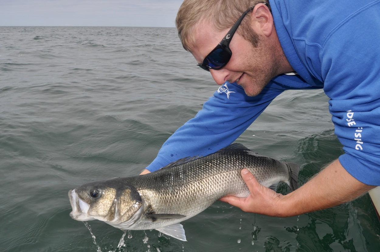 Sea Fishing Paradise: Short Breaks in Wales - Fishing in Wales