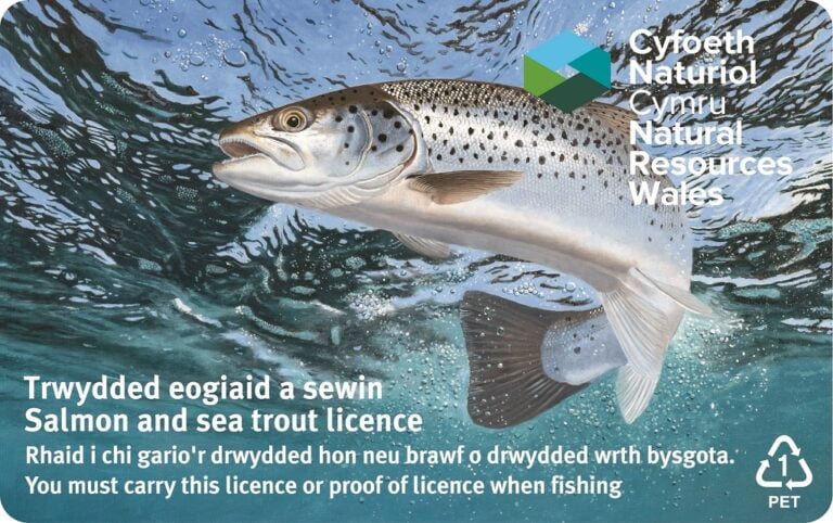 Buying a rod licence - Fishing in Wales