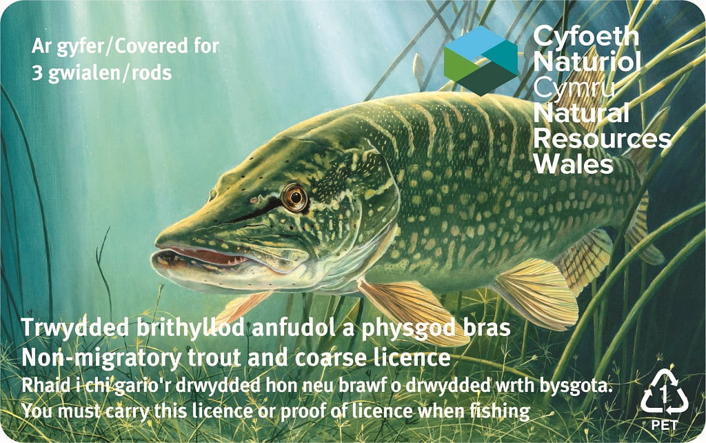Buying a rod licence - Fishing in Wales