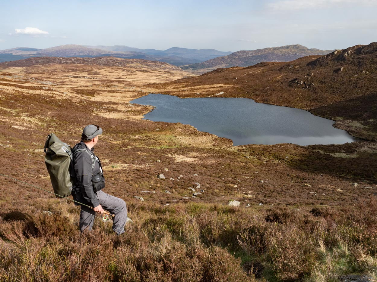 Llyn fishing in Wales: Wild brown trout in the hills - Fishing in Wales