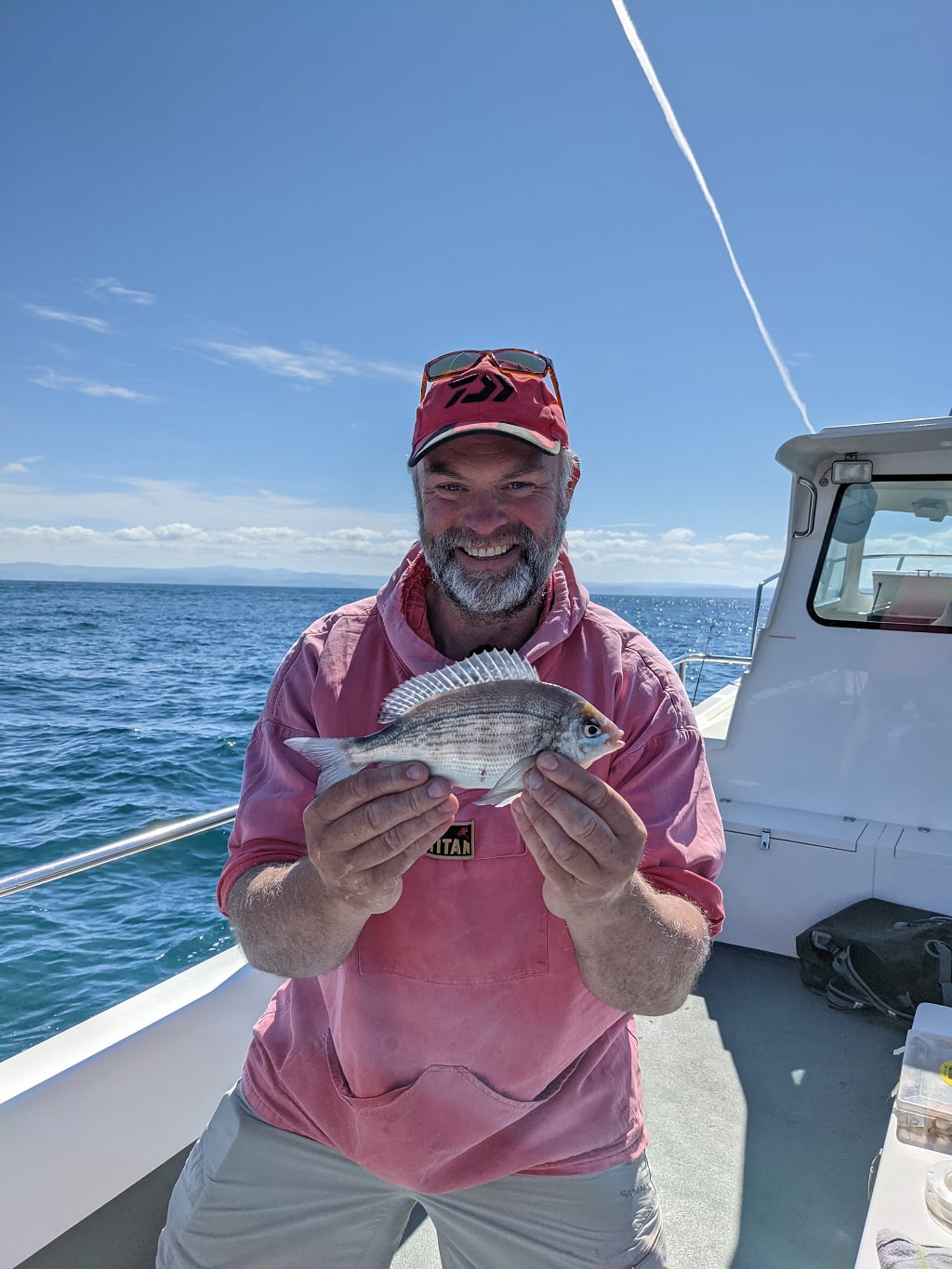 Tope Fishing in Wales: Epic Fishing with Epic Fishing!! - Fishing in Wales