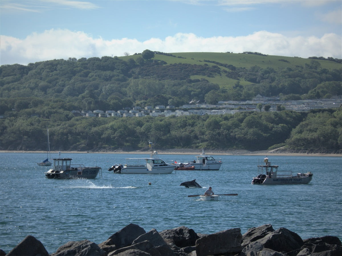 Sea Fishing Catch Reports - Fishing in Wales