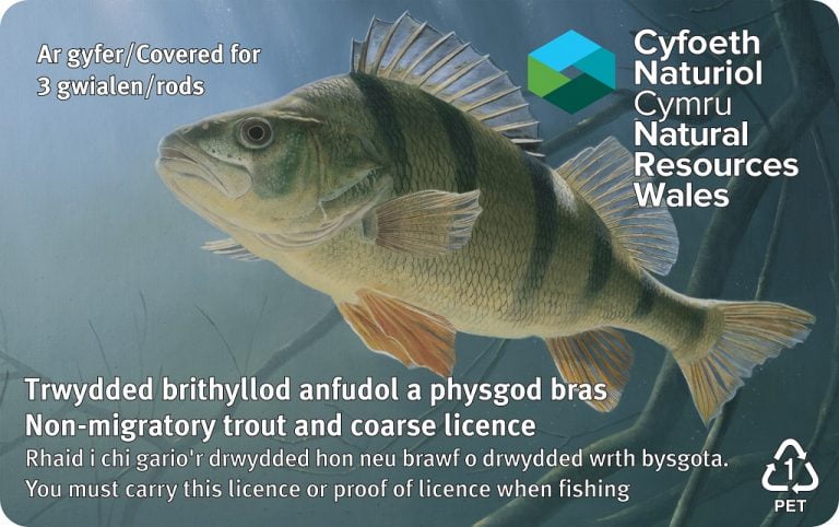 Buying a rod licence - Fishing in Wales