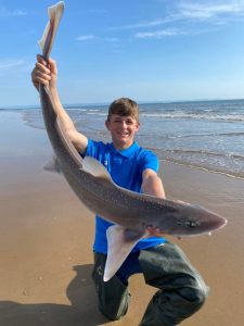 Sea Fishing Catch Reports - Fishing in Wales