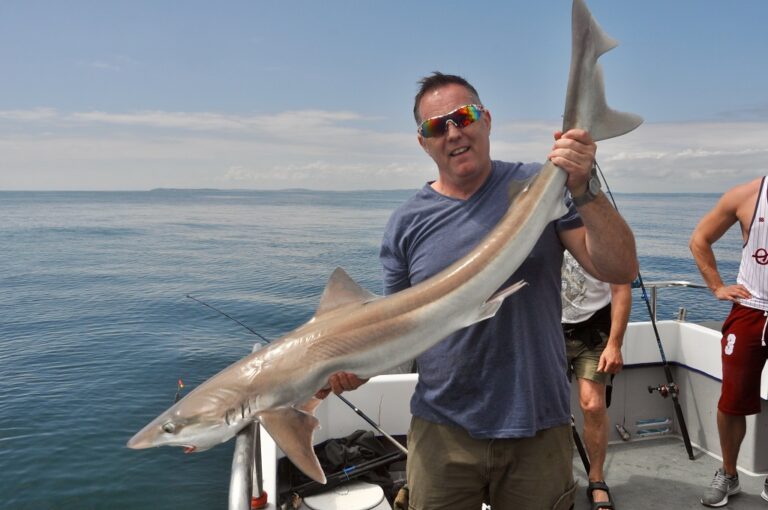 Summer Sea Fishing In Wales - Fishing in Wales