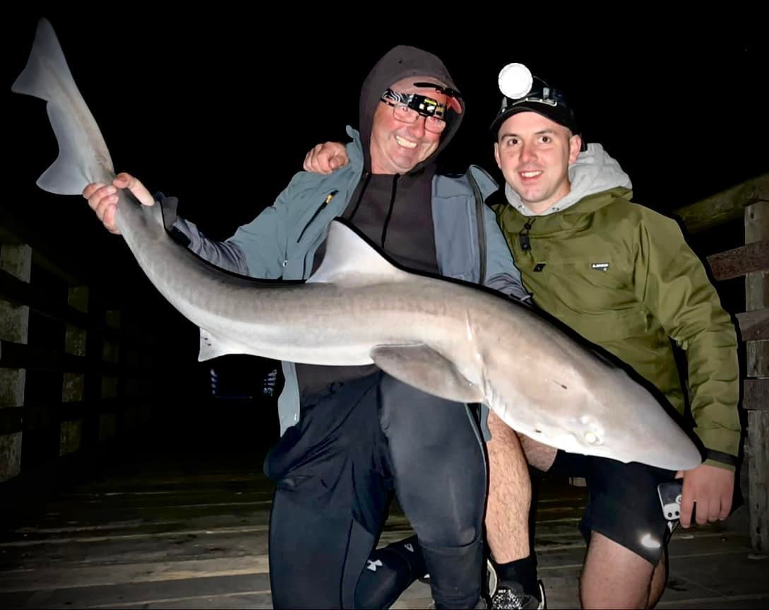 Sea Fishing Catch Reports - Fishing in Wales