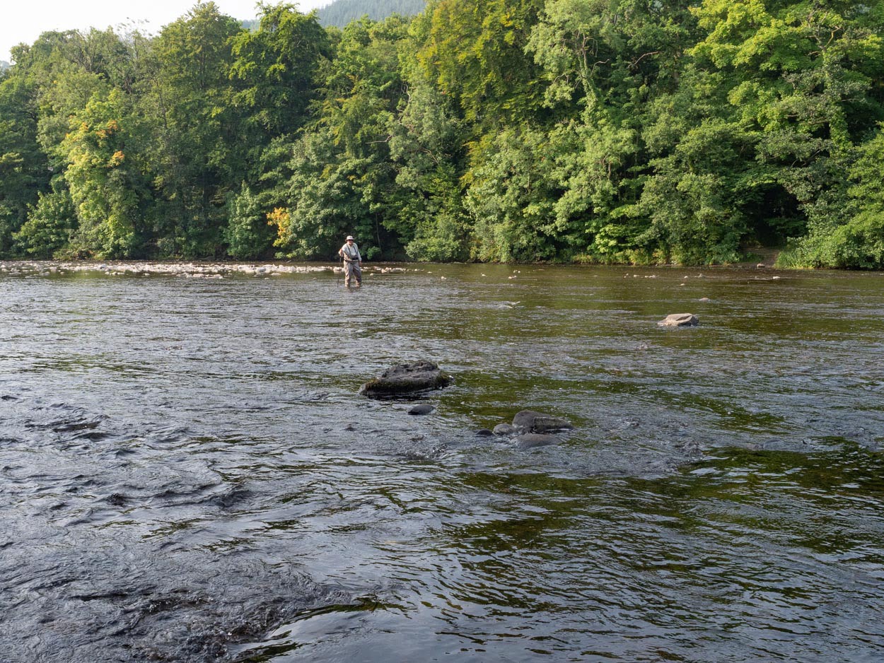 River fishing for grayling in Wales - Fishing in Wales