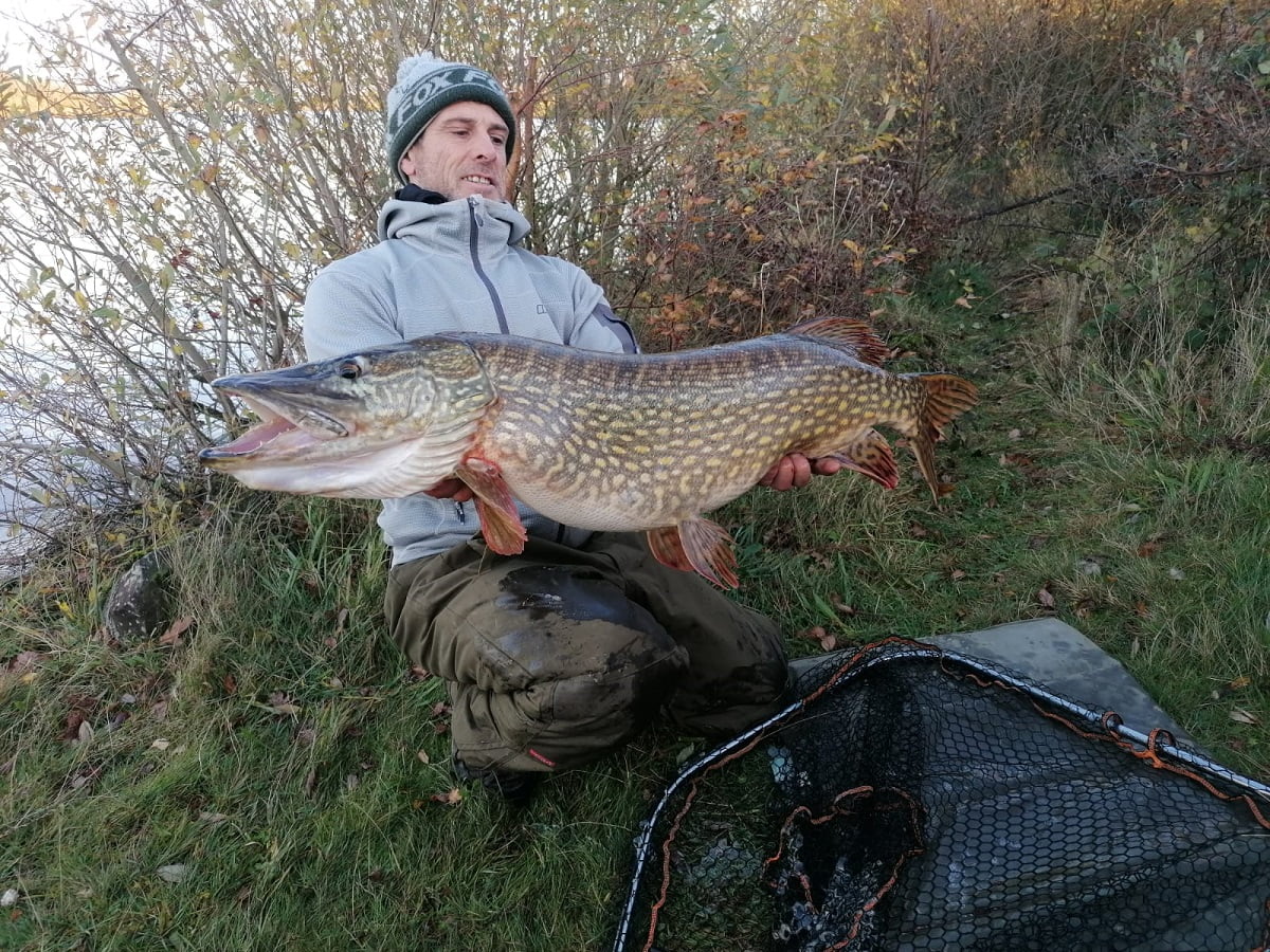 Llyn Trawsfynydd Monster Pike - Fishing in Wales