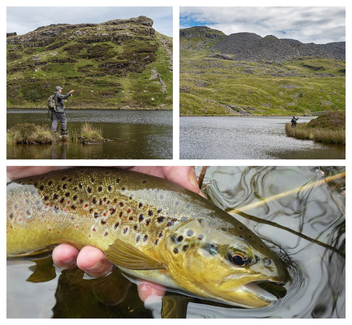 Llyn Fishing at Blaenau Ffestiniog - Fishing in Wales