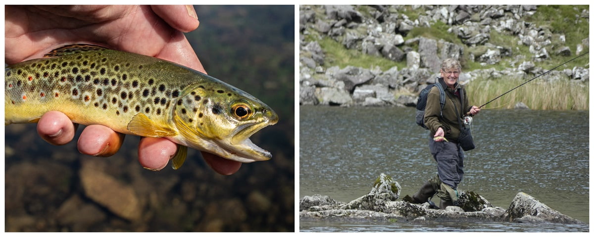 Llyn Fishing at Blaenau Ffestiniog - Fishing in Wales
