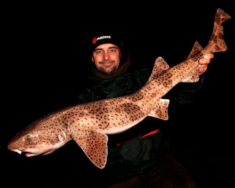 Sea Fishing Catch Reports - Fishing in Wales