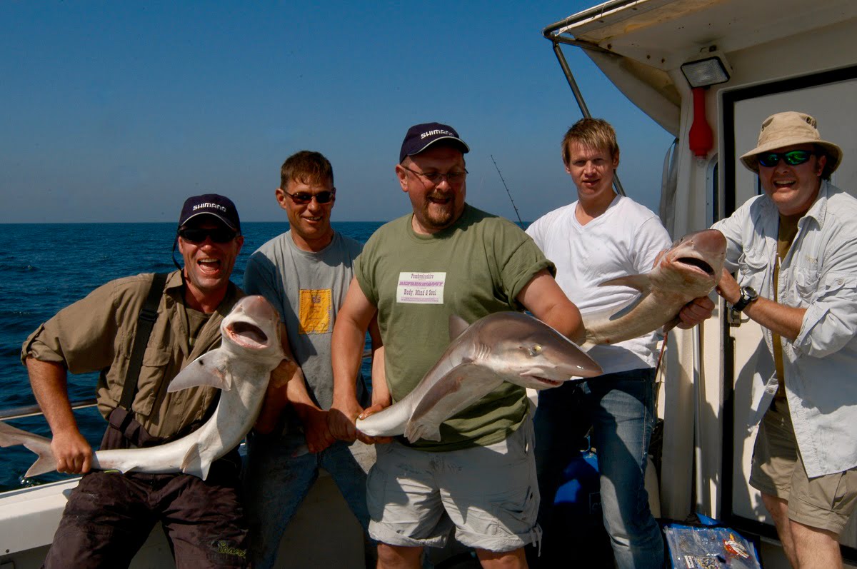 Tope Fishing In Wales - Fishing in Wales