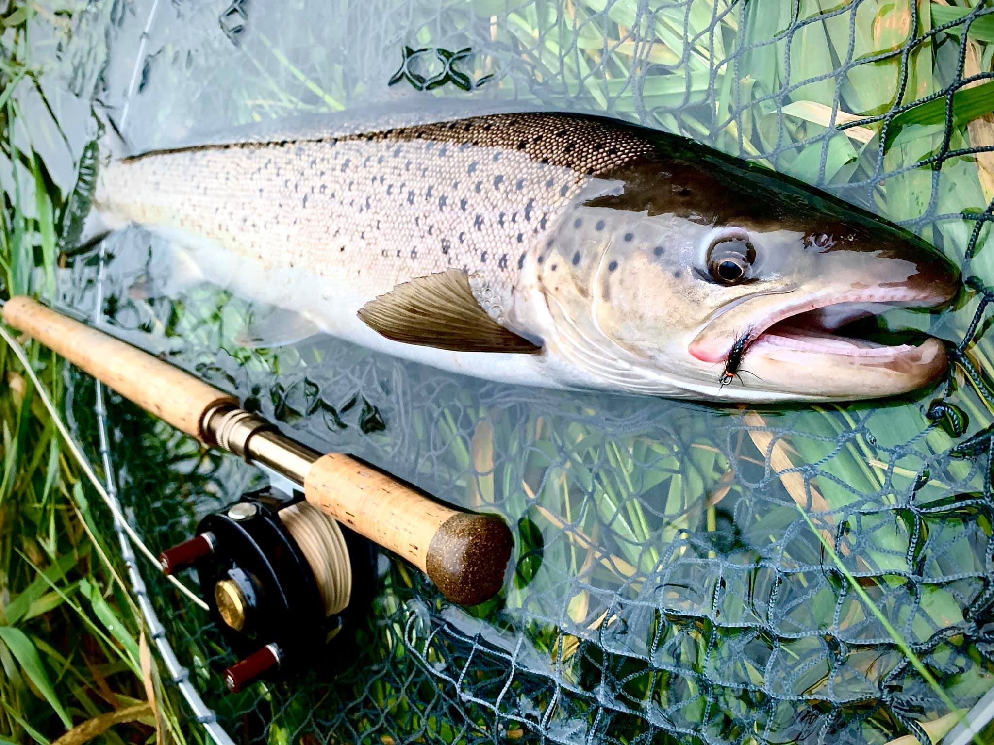 Discover Autumn Angling Adventures in Wales - Fishing in Wales