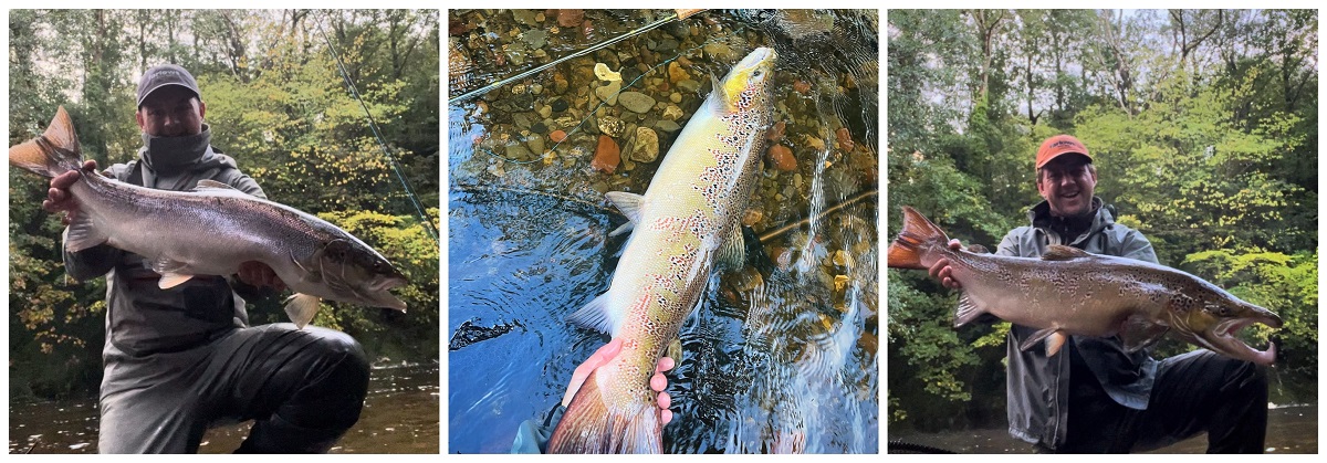 Game Fishing Catch Reports - Fishing in Wales