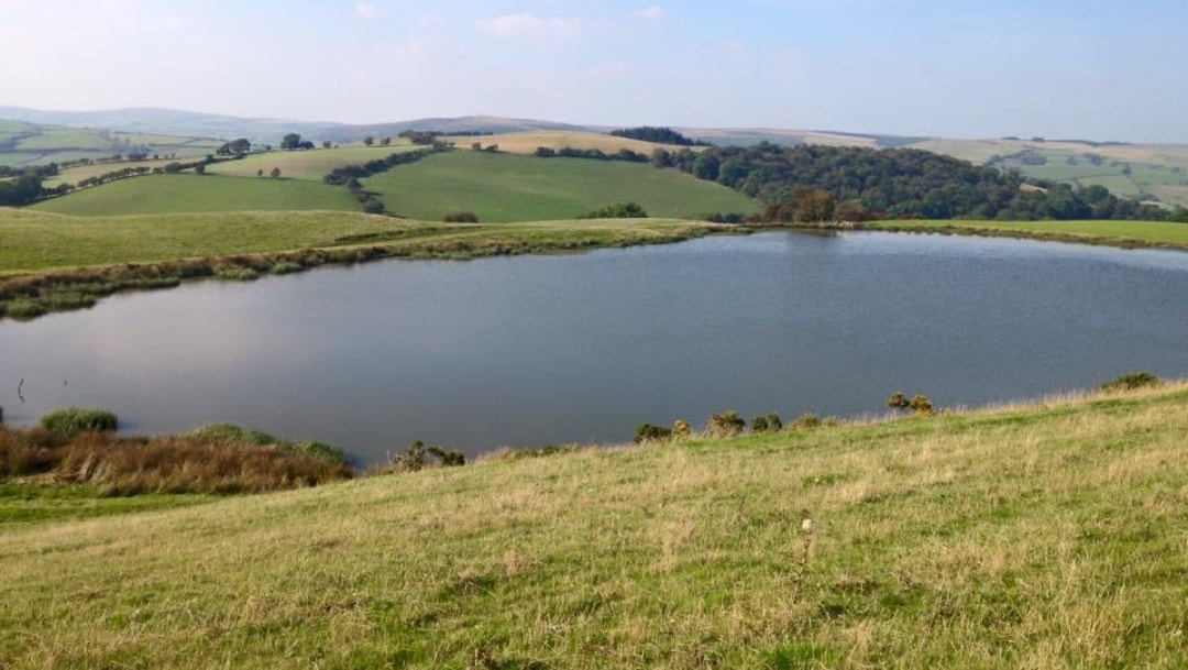 Pen y Clawdd fishing pool - Fishing in Wales