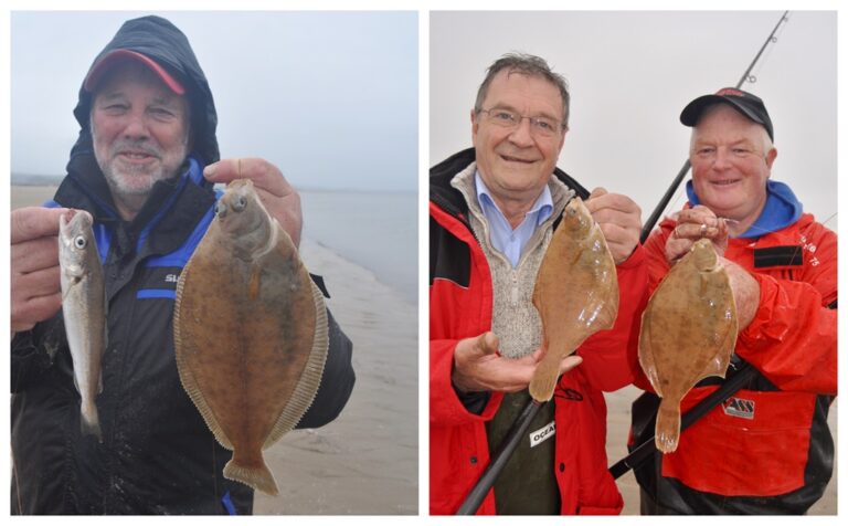Sea Fishing Catch Reports - Fishing in Wales