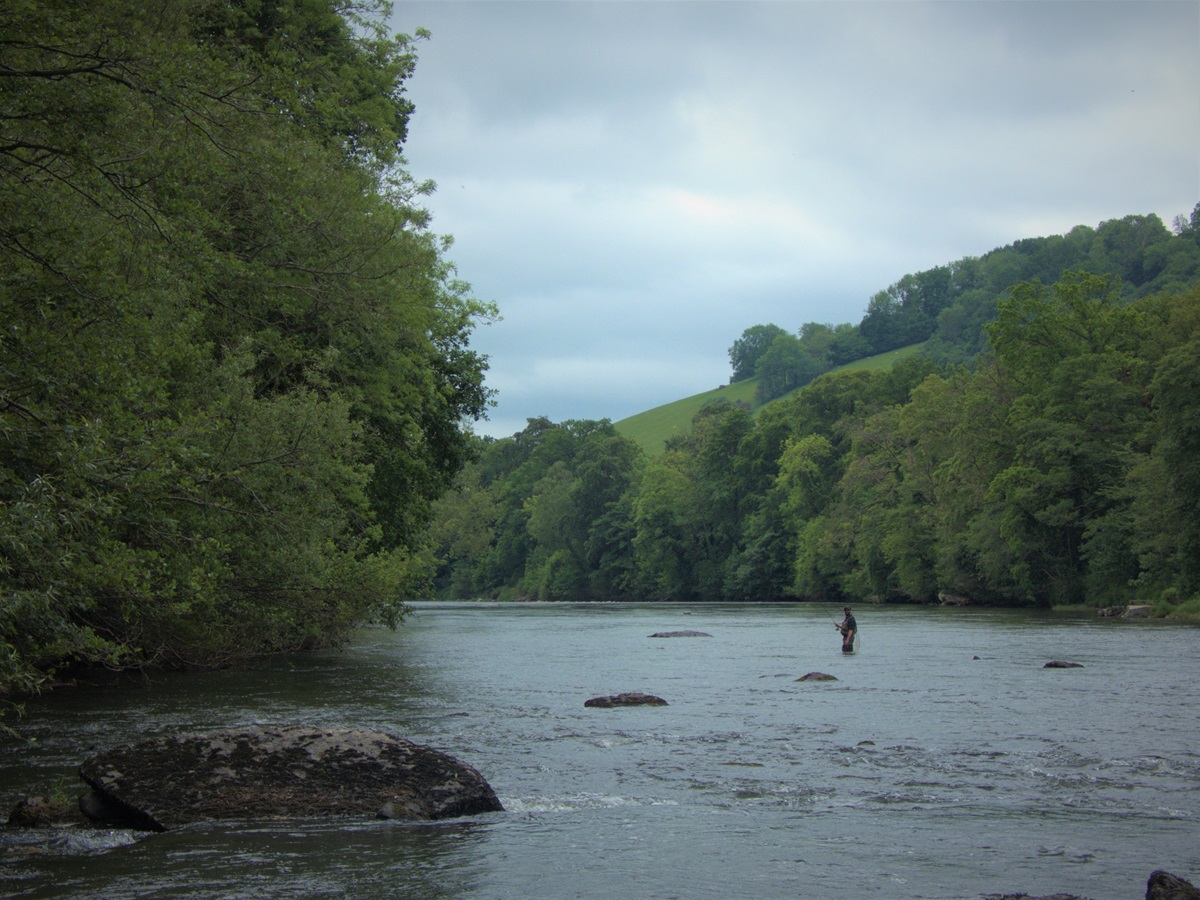Welsh Rivers Await: The Thrill of The Trout Fishing Season - Fishing in ...