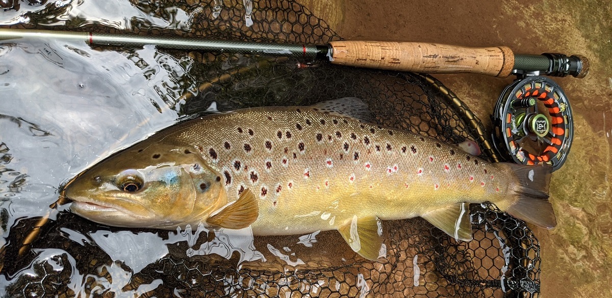Welsh Rivers Await: The Thrill of The Trout Fishing Season - Fishing in ...