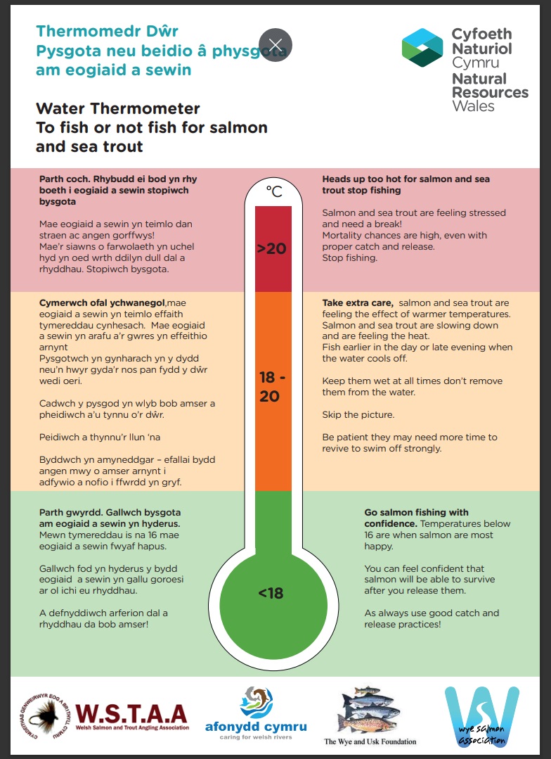 Water Temperature - To fish or not fish for salmon and sea trout ...
