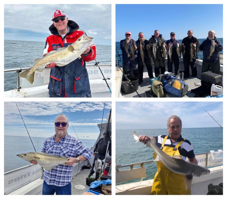 Sea Fishing Catch Reports - Fishing in Wales