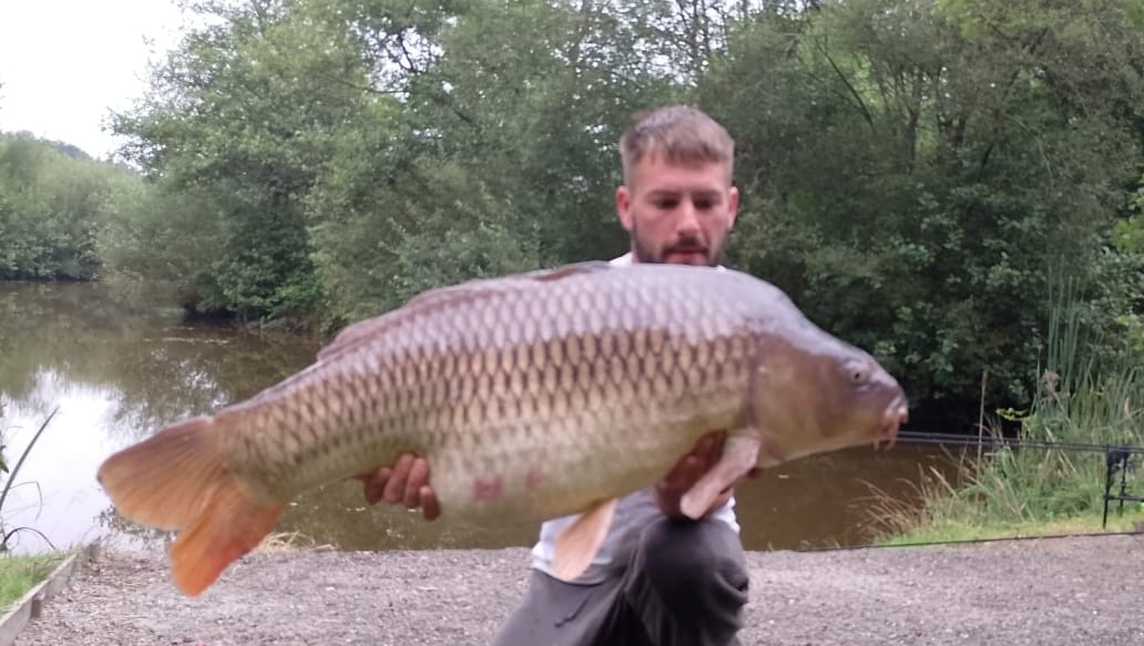 Coarse Fishing Catch Reports - Fishing in Wales